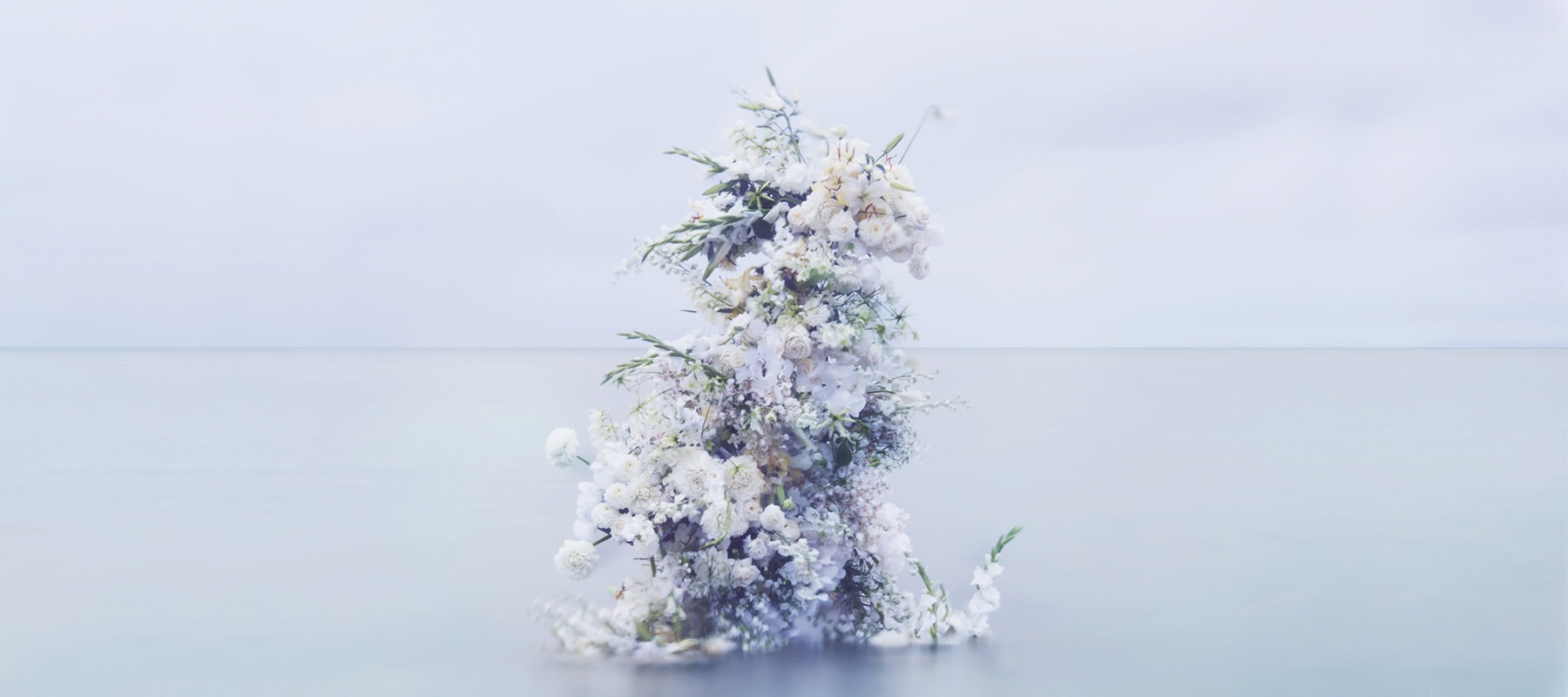 uroku × Yoko Harada「INVISIBLE FLOWER」2025年1月15日(水)～2月17日(月) – ROOM＋